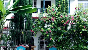 Uma casa com varanda, portão e diversos vegetais, incluindo uma bananeira grande e arbustos floridos.
