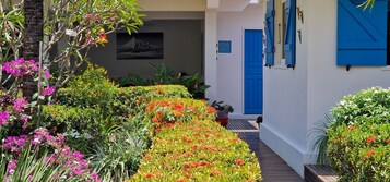 Smart TV 43 polegadas com canais via satélite, Netflix