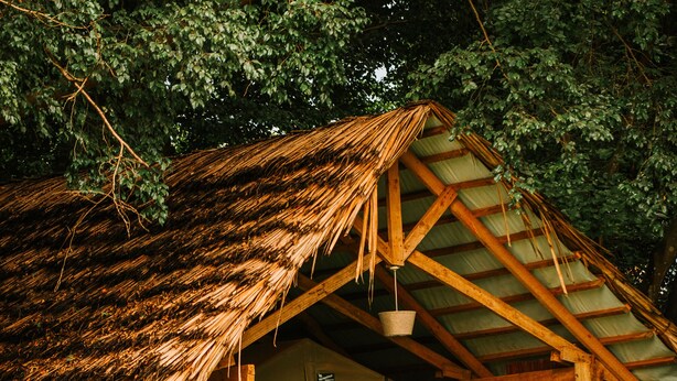 Tenda Premium, 1 cama queen-size, não fumadores, vista para a piscina | Terraço/pátio interior