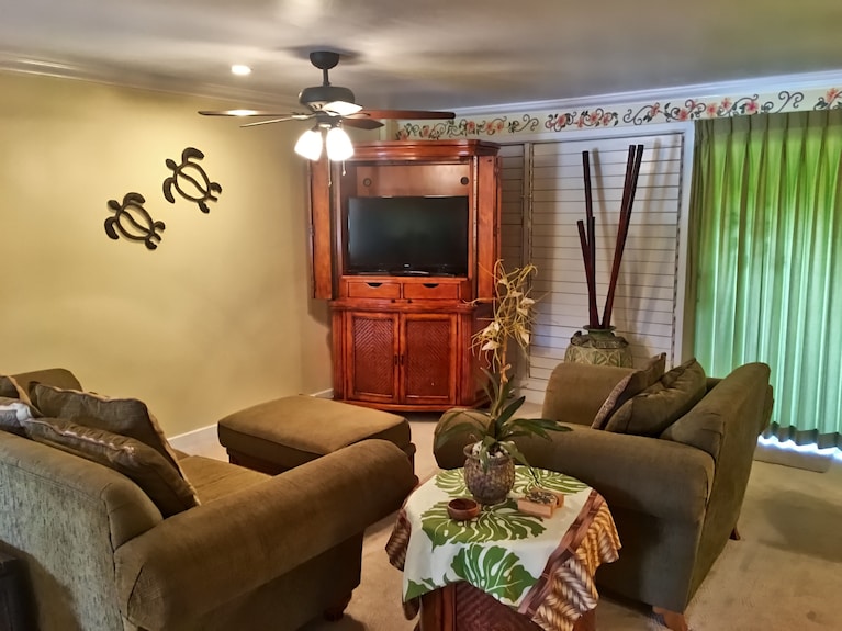 Direct Ocean Property - Oversized 2bd /2bth - Ac - December / January Specials - Maui, HI