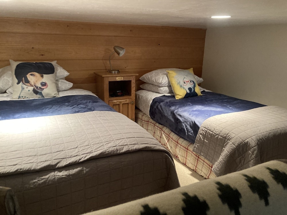 Le Williams Peak Est Parfait Pour La Famille Qui Aimerait Amener Leur Chien - Colorado