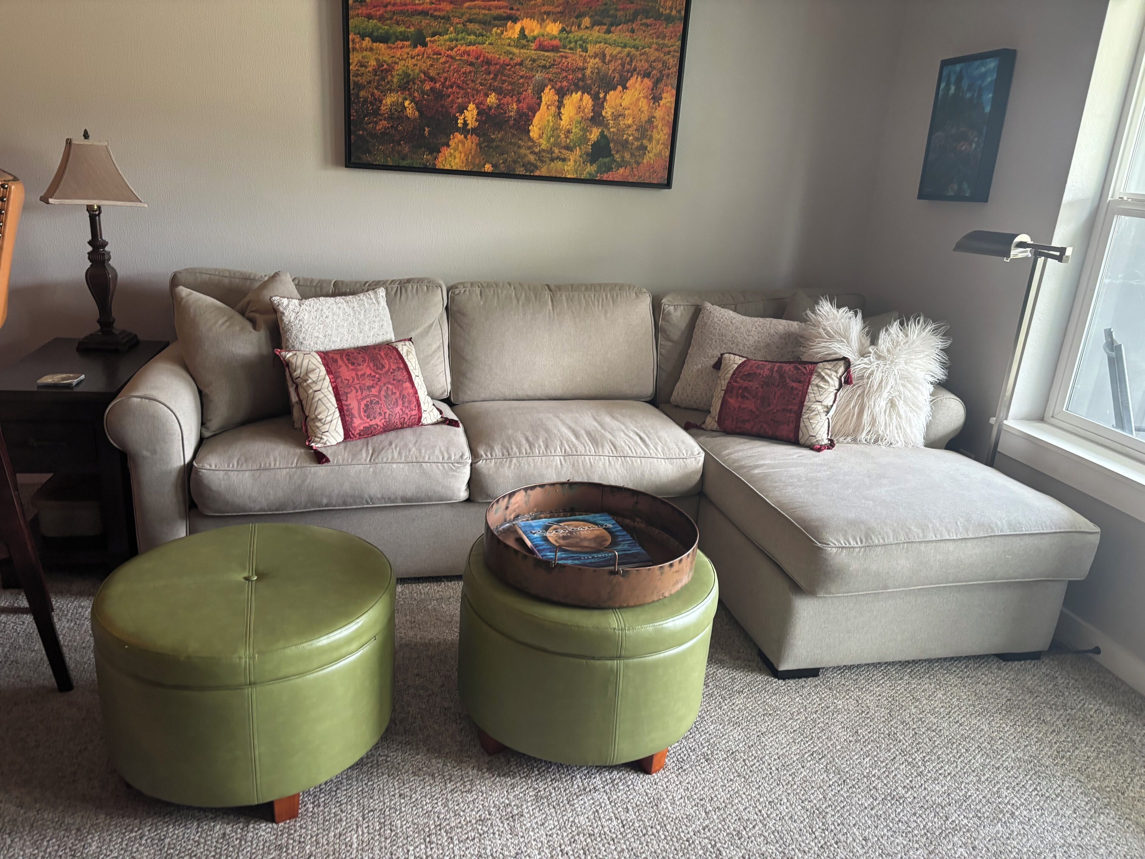 Amazing Town Home Right On San Juan River, Big Views, Near Town, Central A/c - Pagosa Springs, CO