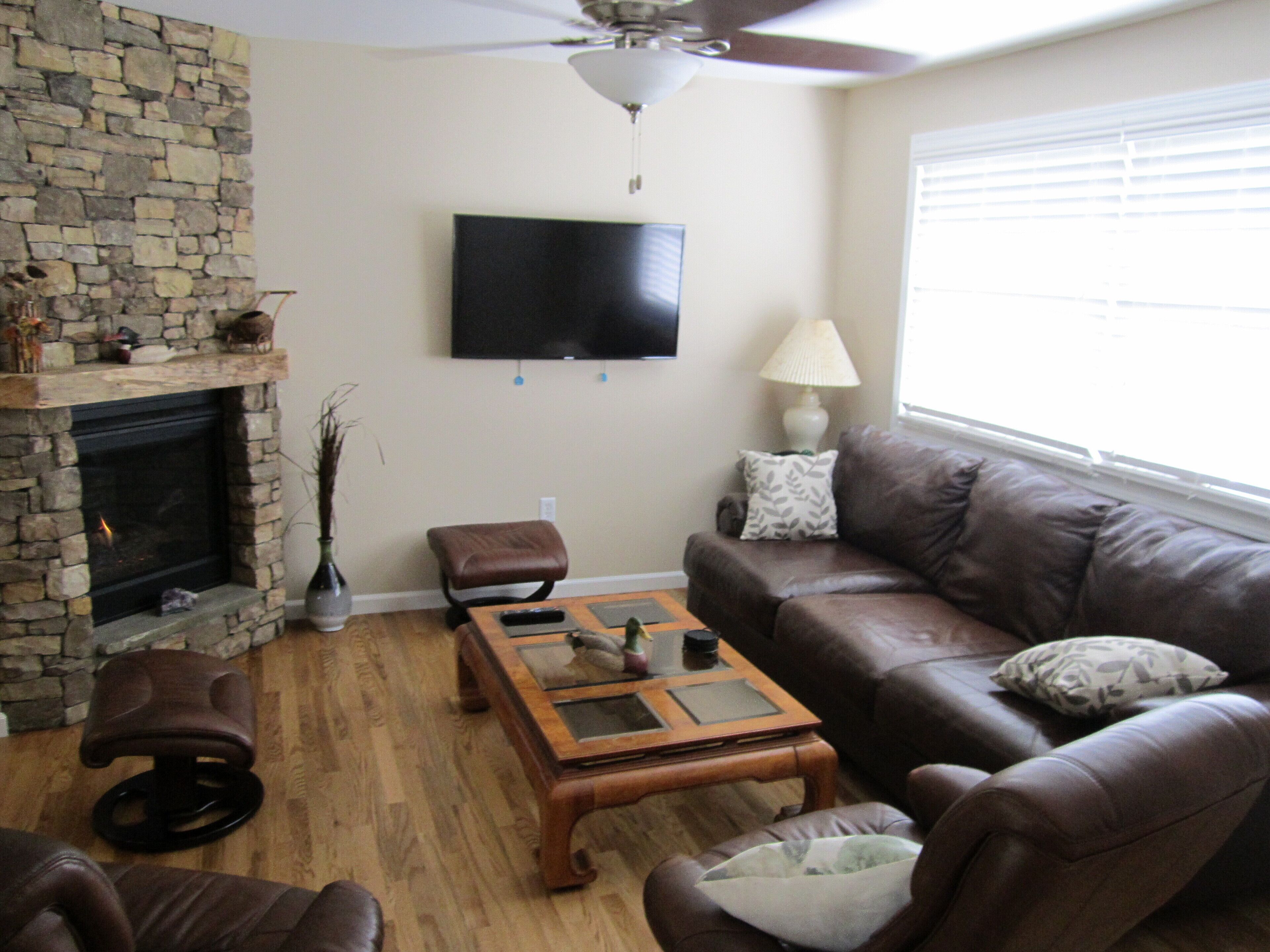 Downtown Brevard Cottage - Hot Tub /  Walk To Town - Brevard, NC
