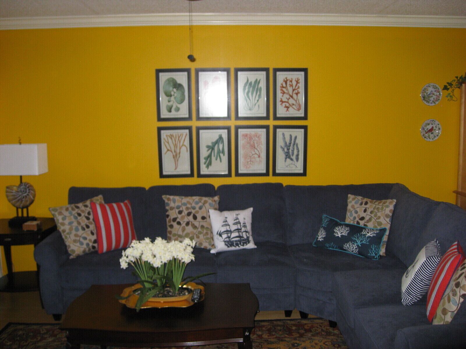 Condo Direct Cinq éToiles Face à L'océan Au Golden Sands - Ocean City, MD