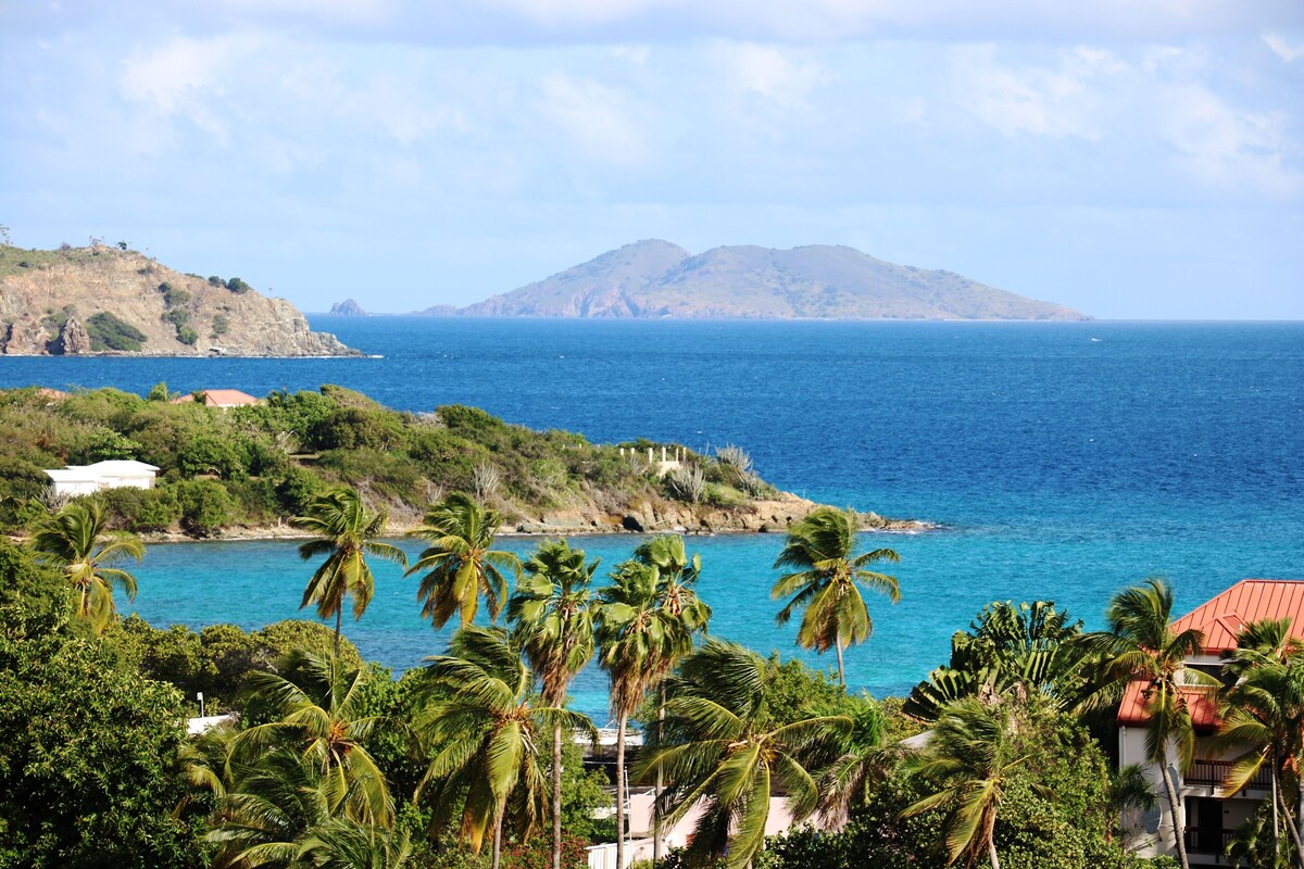 Gorgeous Condo At Sapphire on St Thomas. Walk-in Level. Killer Island ...