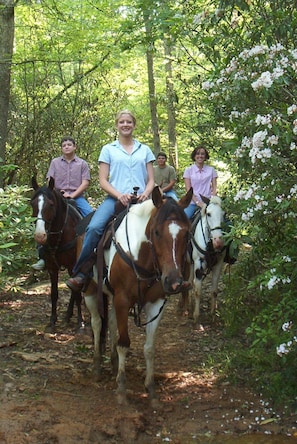 Private Affordable Lodging at Blanche Manor Horse Ranch - Blanche Manor ...
