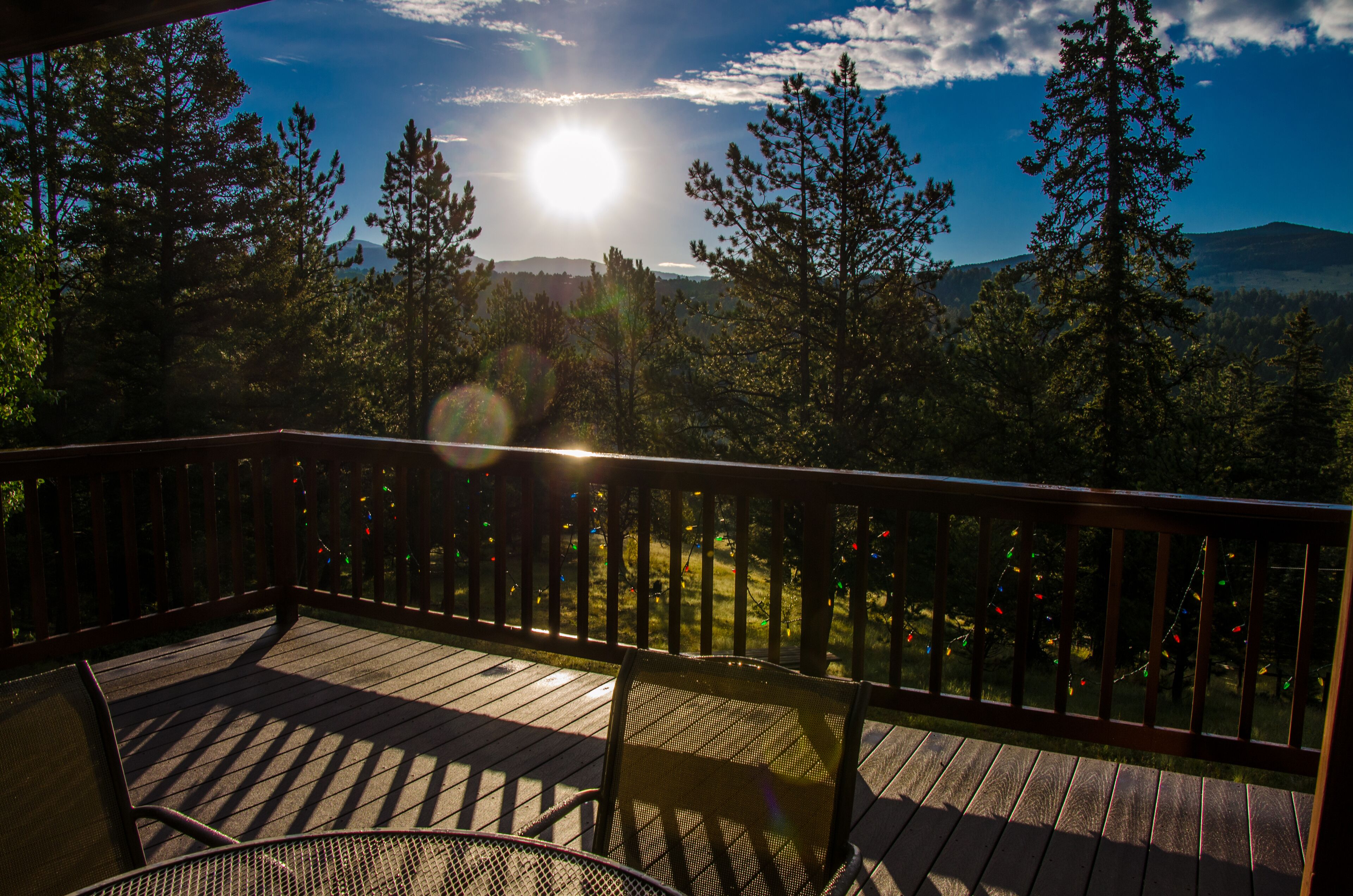 12 Best Pet-Friendly Mountain Cabins Near Pikes Peak, Colorado | Trip101