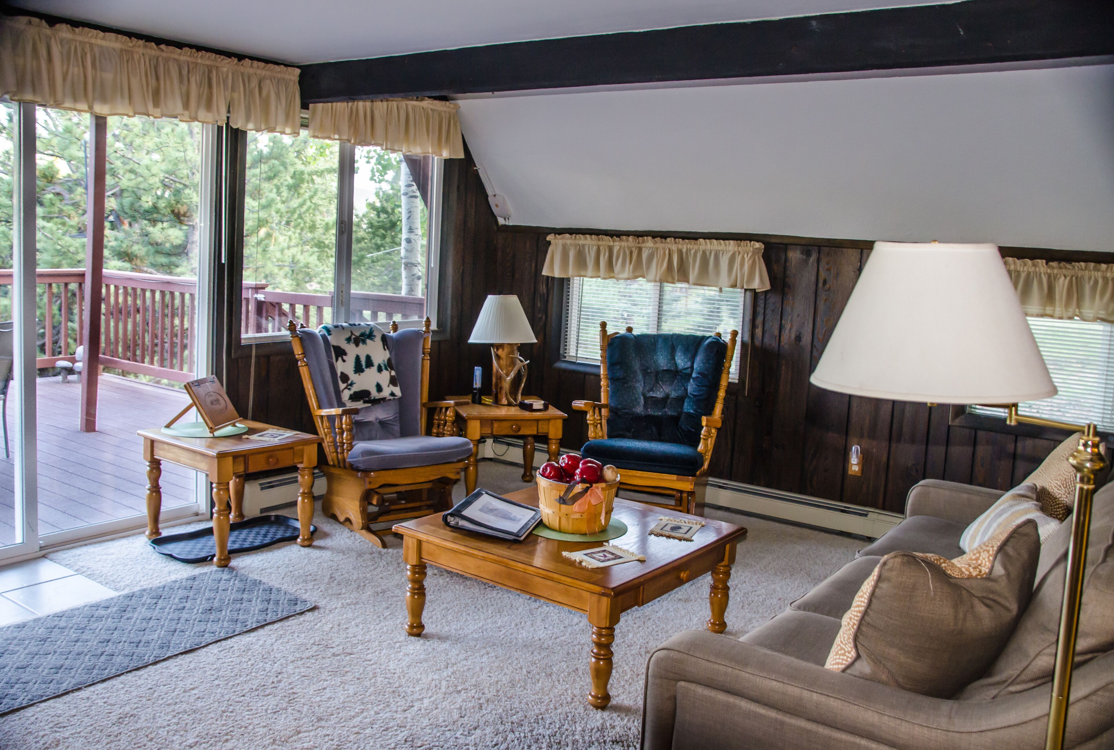 12 Best Pet-Friendly Mountain Cabins Near Pikes Peak, Colorado ...