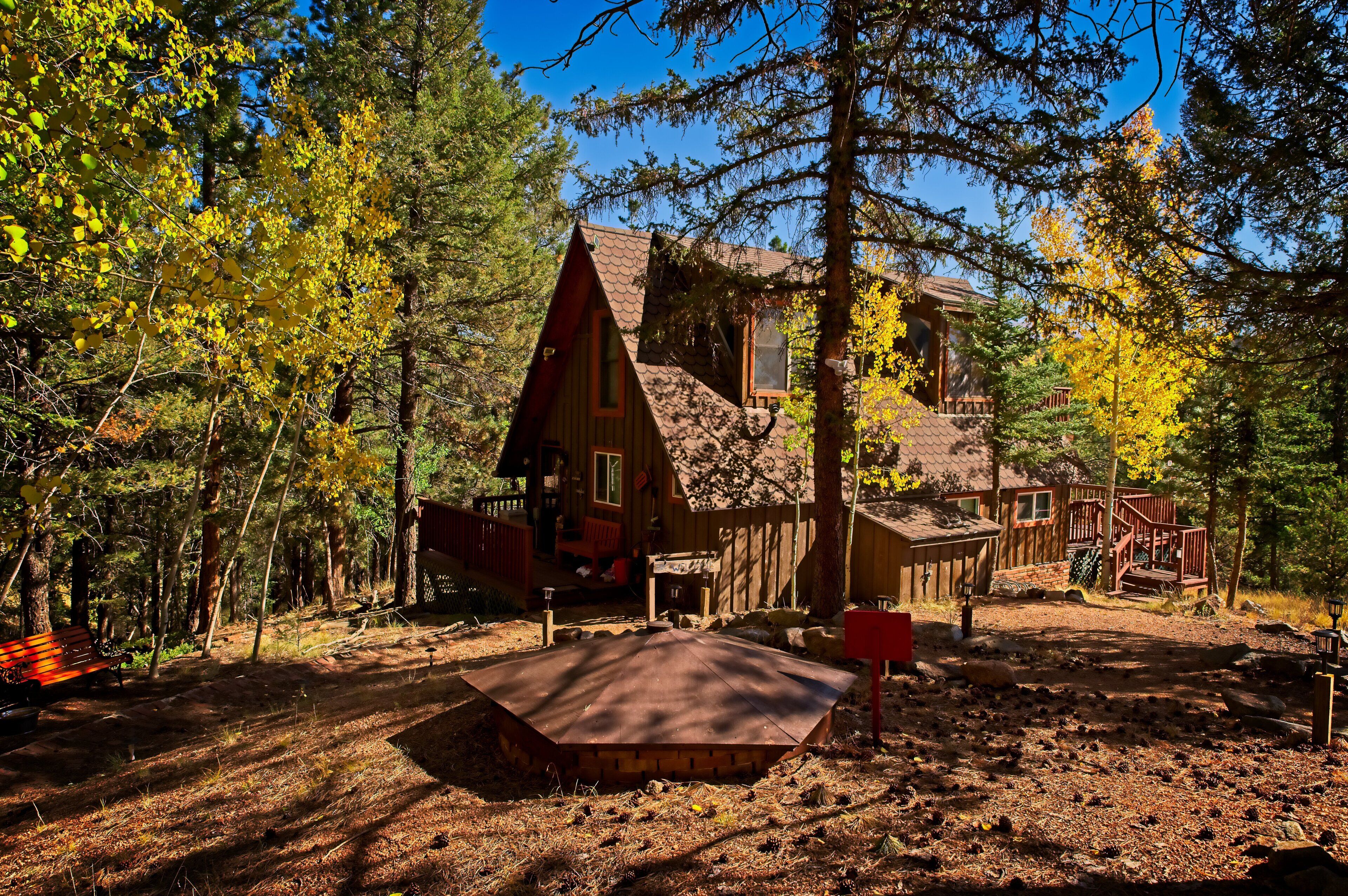 12 Best Pet-Friendly Mountain Cabins Near Pikes Peak, Colorado ...