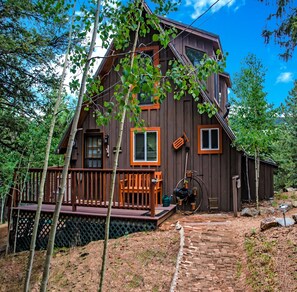 Mountain Views, Rita the Rock Planter, Private Cabin, WiFi, Charm ...