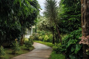 Uma trilha serpenteia por um jardim exuberante, com diversas plantas e árvores.