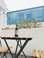 Suite-Estúdio de Luxo | Terraço/pátio interior