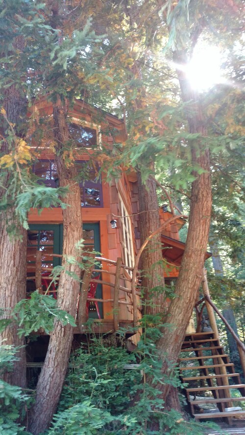 Redwood Treehouse