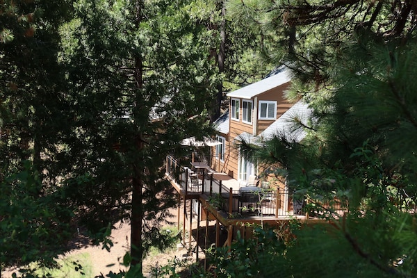Spacious Mountain Getaway Near Pinecrest And Dodge Ridge With Starlink And Ac! - Pinecrest, CA
