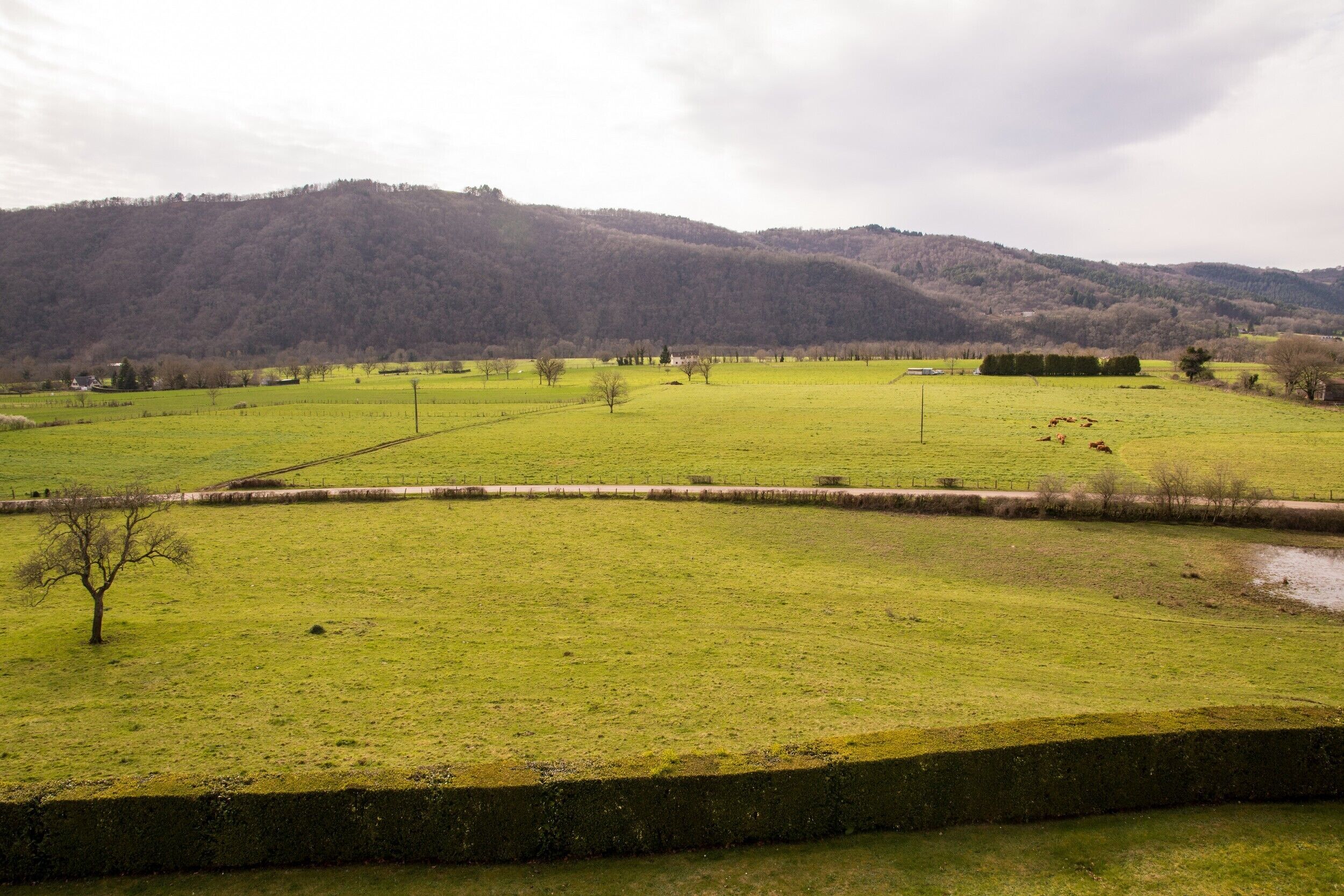 Paisagem rural com um campo verde, algumas árvores e uma colina ao fundo.