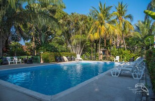 Piscina exterior, da(s) 8:00 à(s) 8:30, espreguiçadeiras 