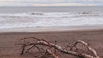 Uma praia com ondas e um tronco de árvore caído.