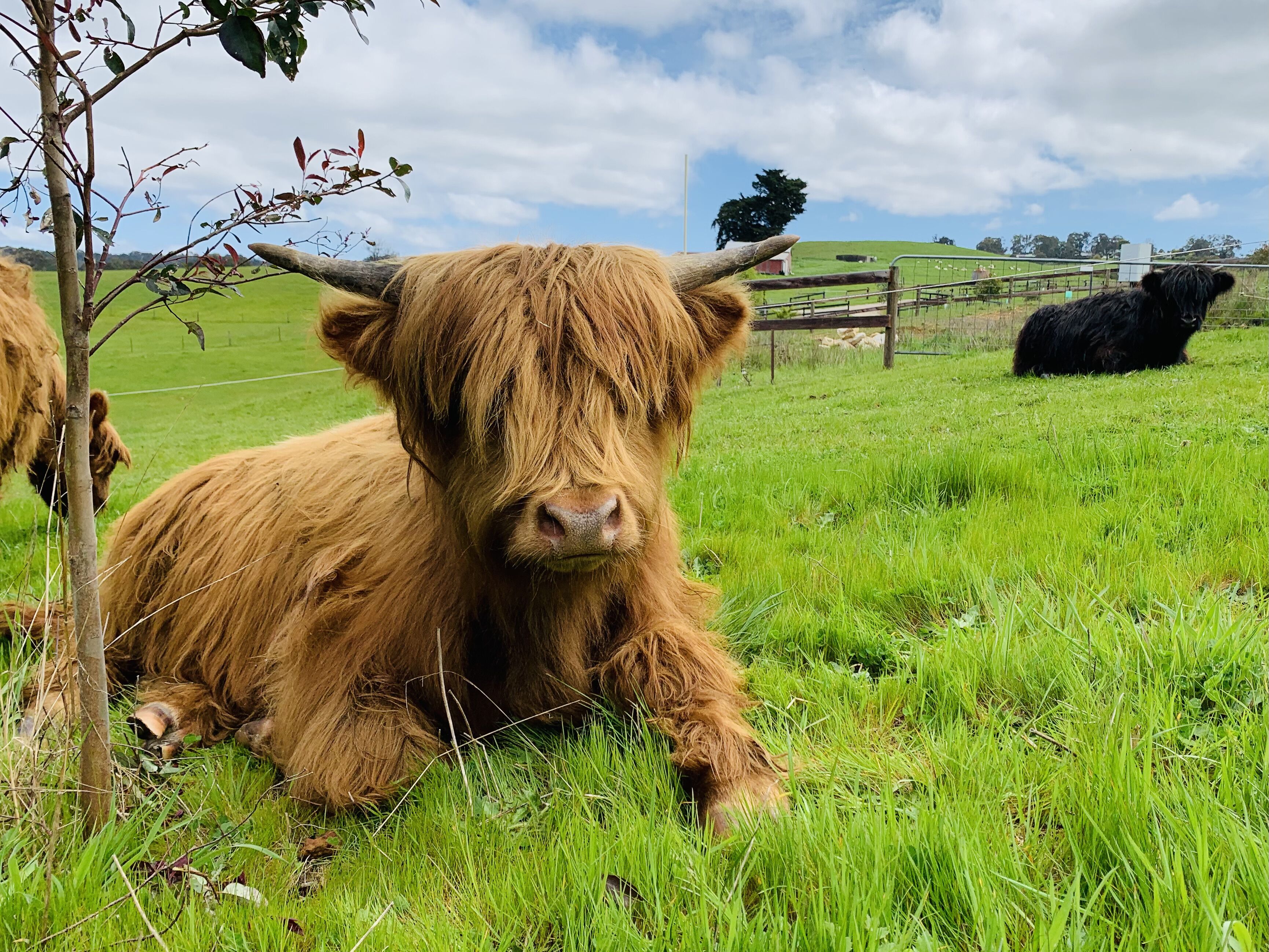 Top 6 Farm Stays In Adelaide Hills, Australia - Updated 2024 | Trip101