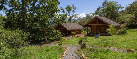 Um cenário rural com duas casas de campo com telhados de palha, ligadas por um caminho de cascalho.