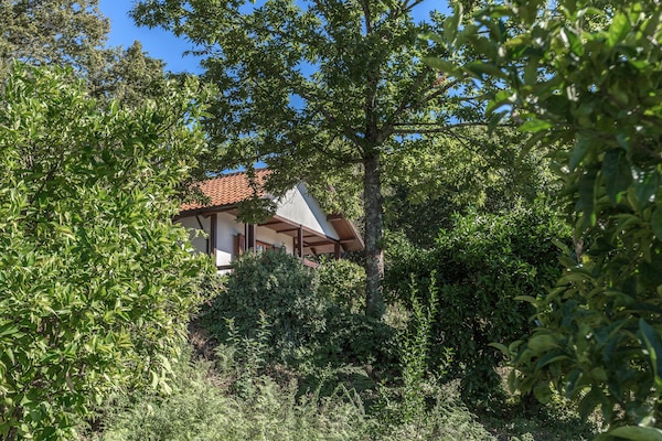 Casa De Montaña Ubicada En 2 Hectáreas De Terreno, En Un Pequeño Pueblo Rural - Ponte da Barca