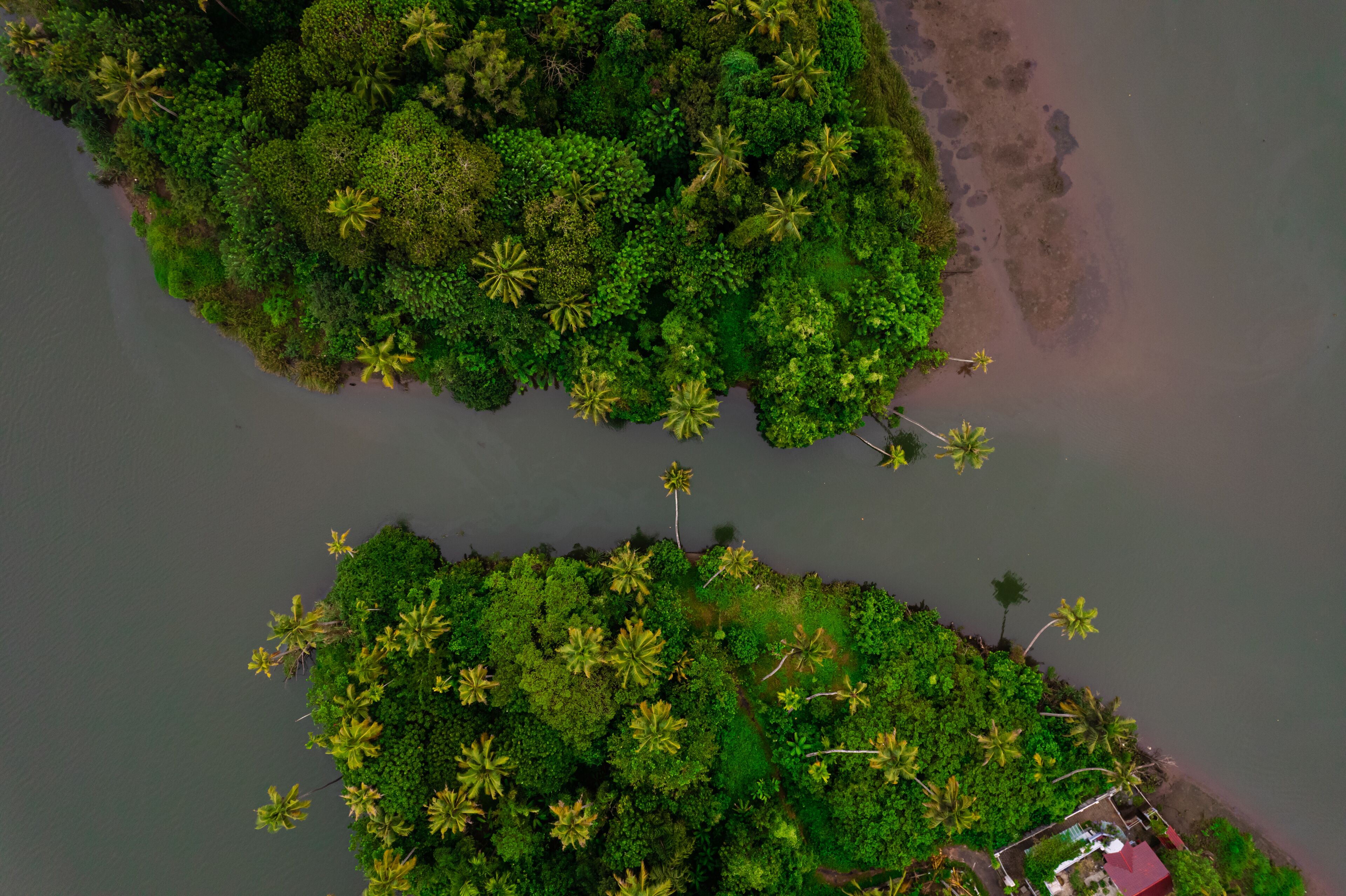 Vista aérea de uma ilha tropical com vegetação densa e um pequeno povoado.