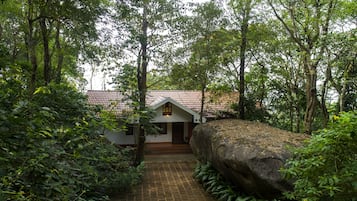 Entrada (vista interior)