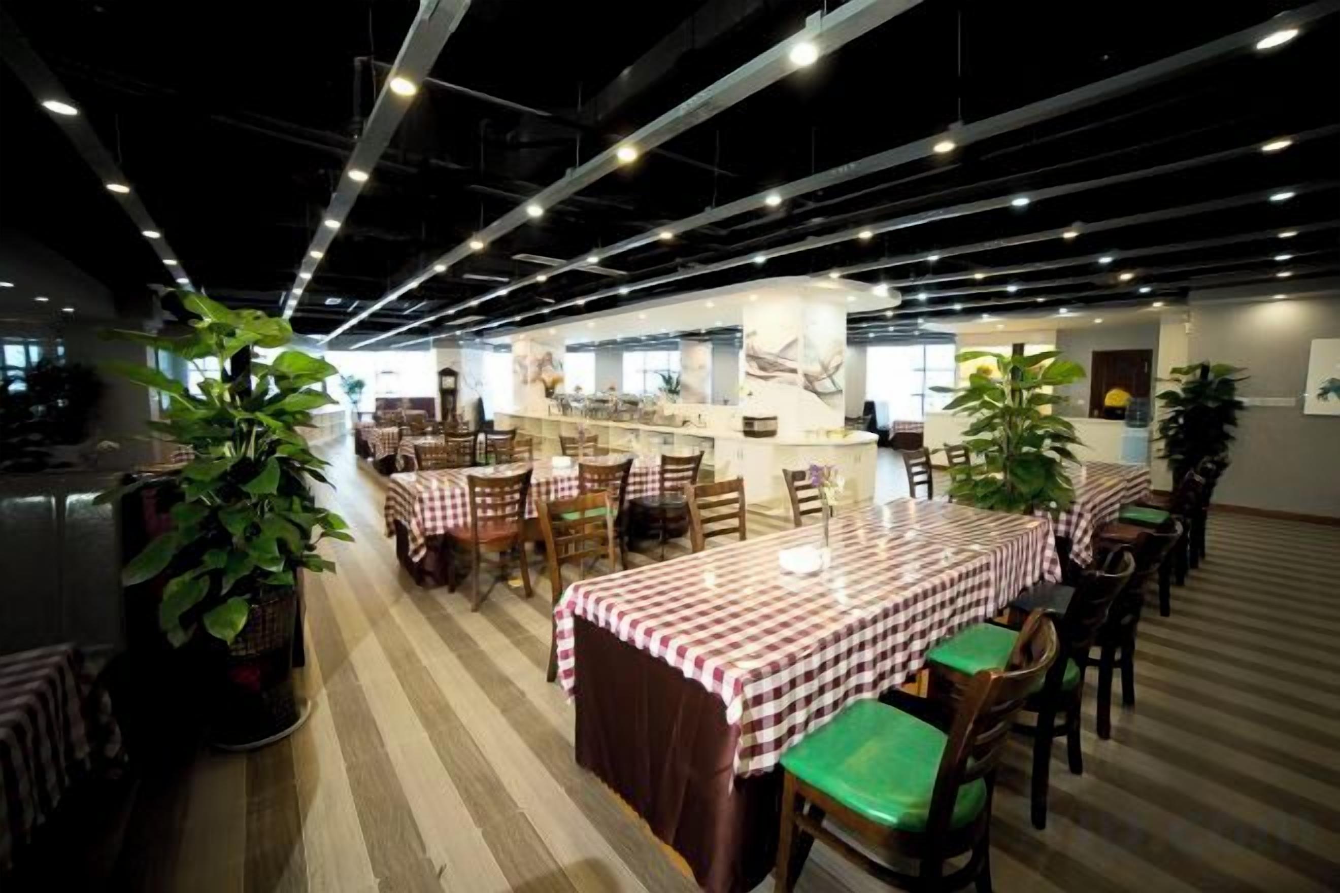 Um restaurante com mesas cobertas por toalhas xadrez, cadeiras e plantas em vasos.