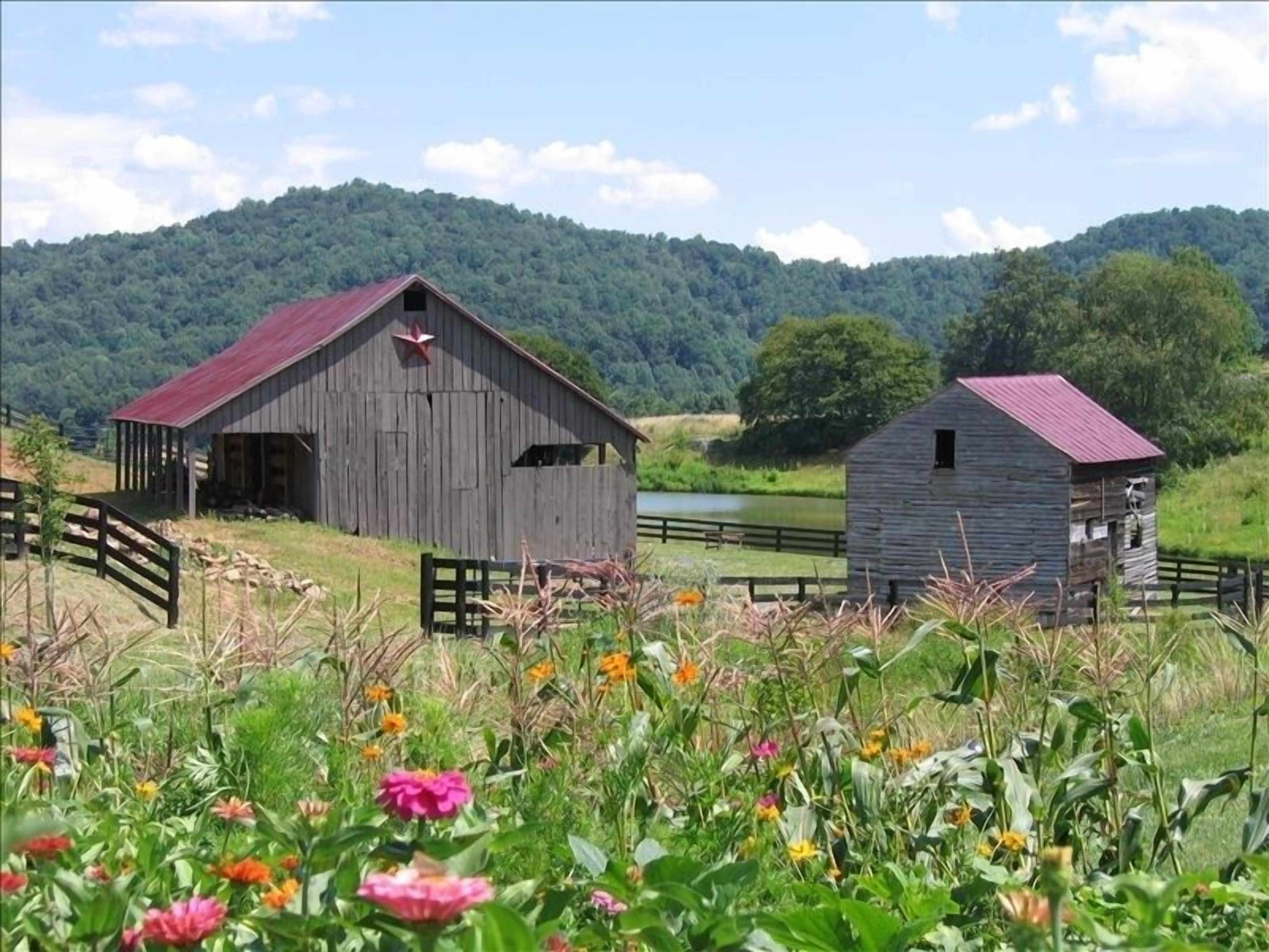 10 Best Ranches To Stay In Virginia, USA - Updated 2024 | Trip101