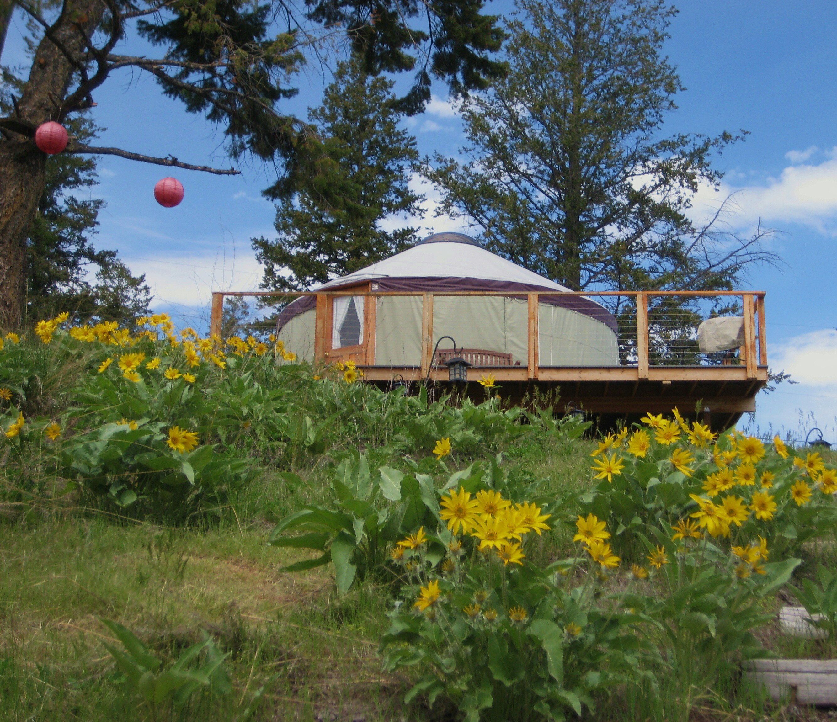 Top 12 Yurts In And Near Glacier National Park, USA - Updated 2024 ...