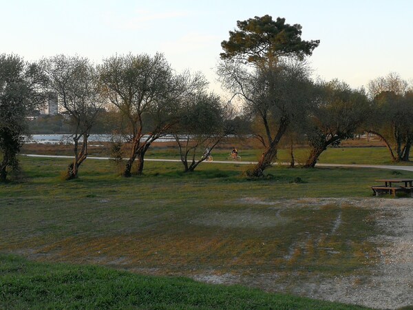 La Teste- Arcachon Maison De Ville Climatisée Entre Le Port Et Le Marché - Dune du Pilat