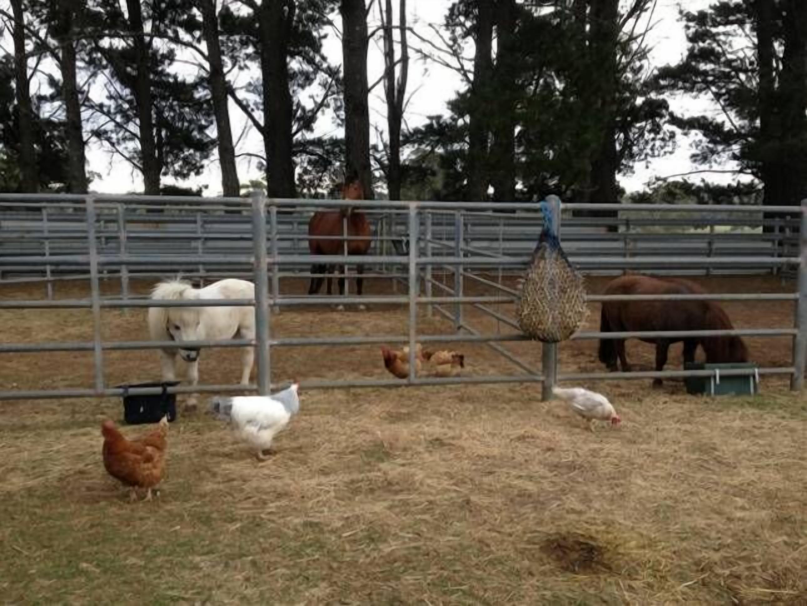 Top 10 Ranches To Stay In Australia - Updated 2024 | Trip101