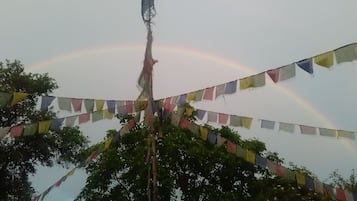 Jardim
