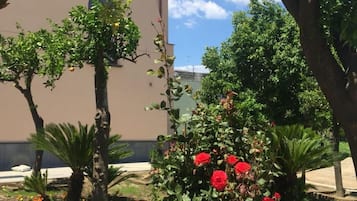 Área da propriedade