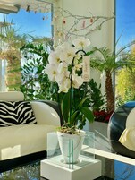 Uma orquídea branca em um vaso de vidro transparente sobre um pedestal branco, colocada sobre uma mesa de vidro em um quarto com um sofá branco e uma almofada com padrão de zebra.