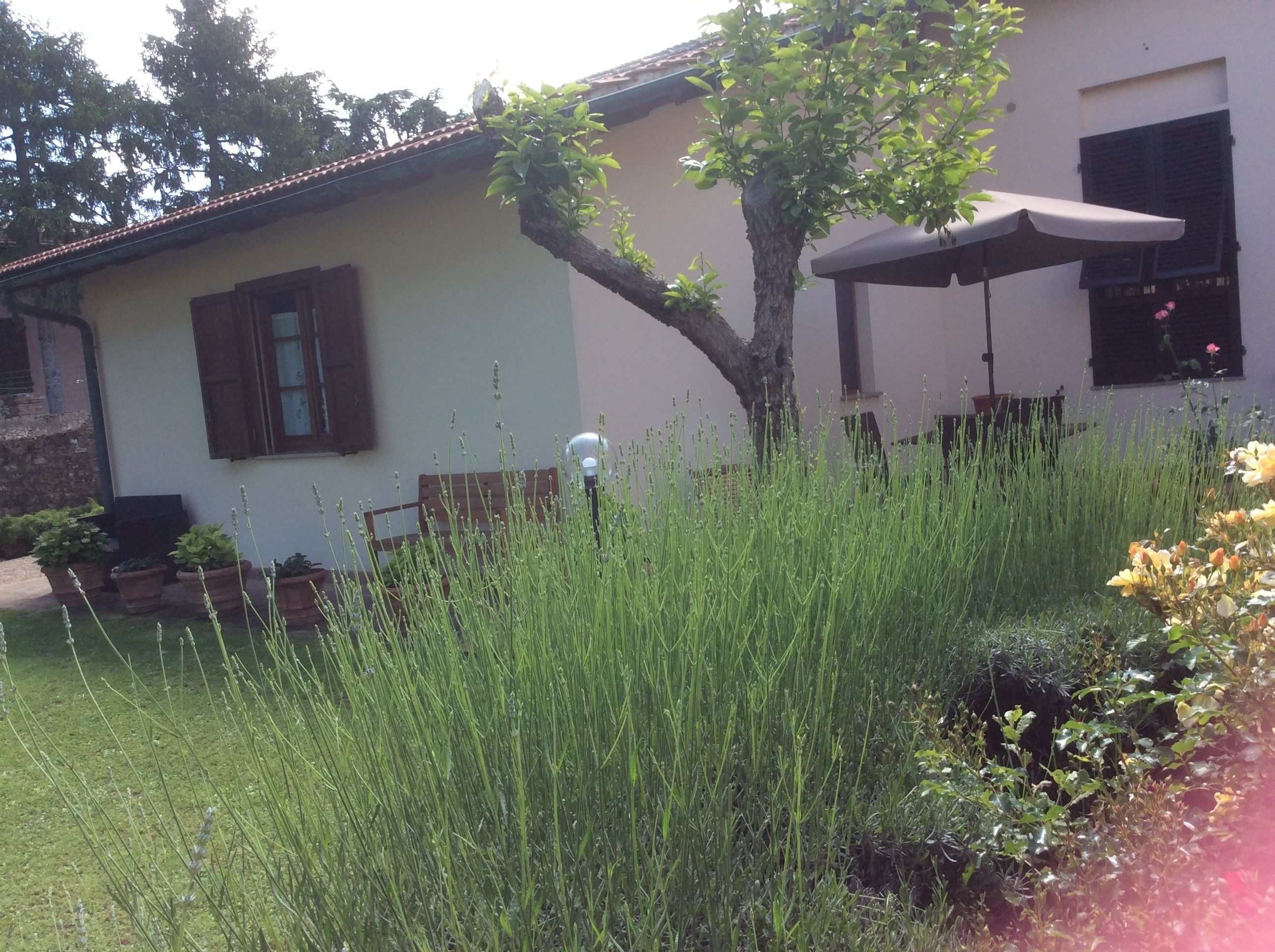 Uma casa com jardim, um banco e um poste de luz.