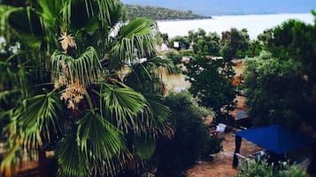 Vista da propriedade