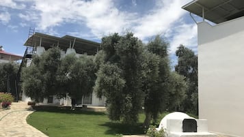 Jardim