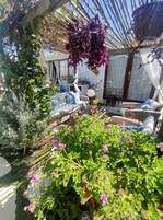Uma área de estar coberta ao ar livre, com pérgola, diversas plantas e uma pequena mesa com um copo.