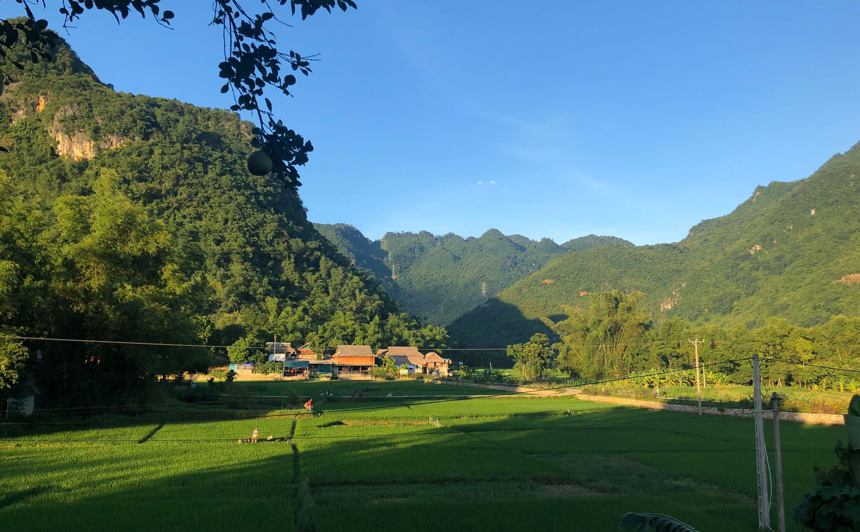 Paisagem rural com uma casa cercada por campos verdes exuberantes e montanhas.