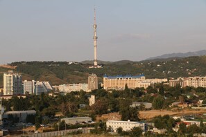 Vista para a montanha