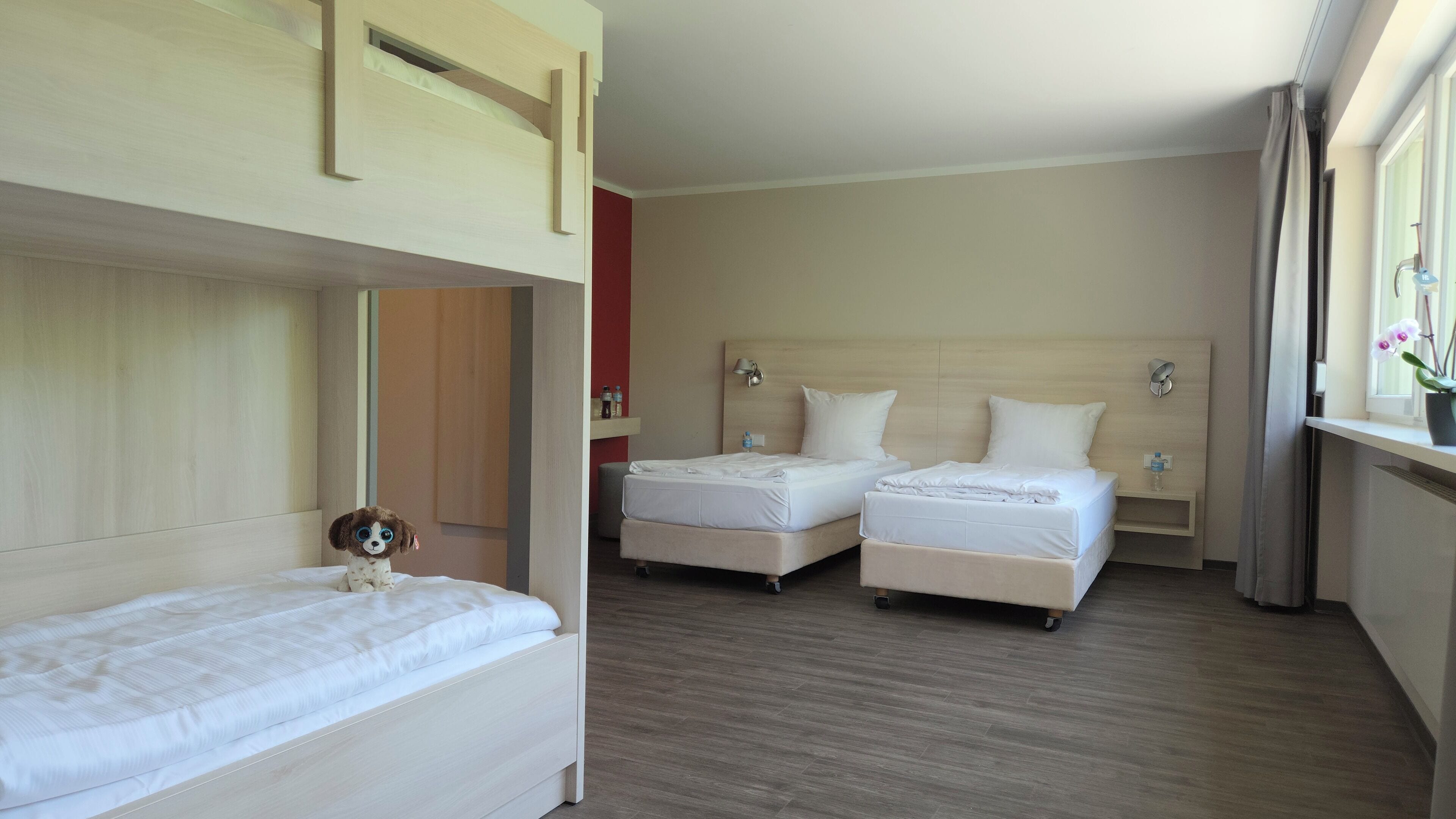 Quarto de hotel com duas camas de solteiro, cabeceira de madeira, uma mesinha com uma garrafa e um vaso de planta perto da janela.