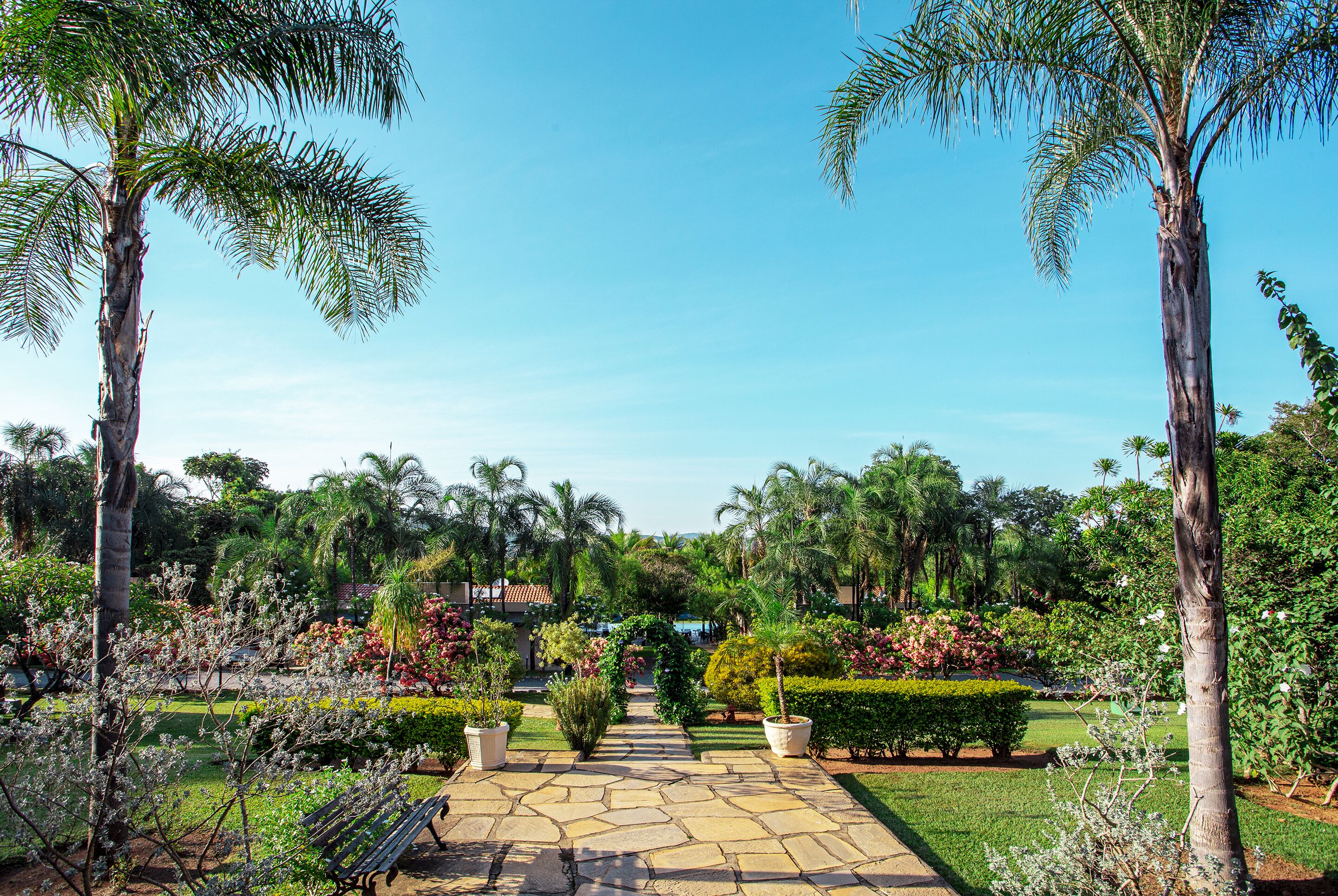 Um caminho pavimentado serpenteia por um jardim exuberante, com palmeiras e plantas floridas.