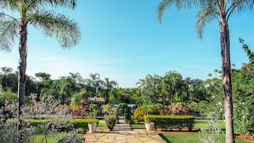 Um caminho pavimentado serpenteia por um jardim exuberante, com palmeiras e plantas floridas.