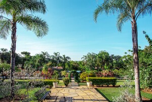Um caminho pavimentado serpenteia por um jardim exuberante, com palmeiras e plantas floridas.