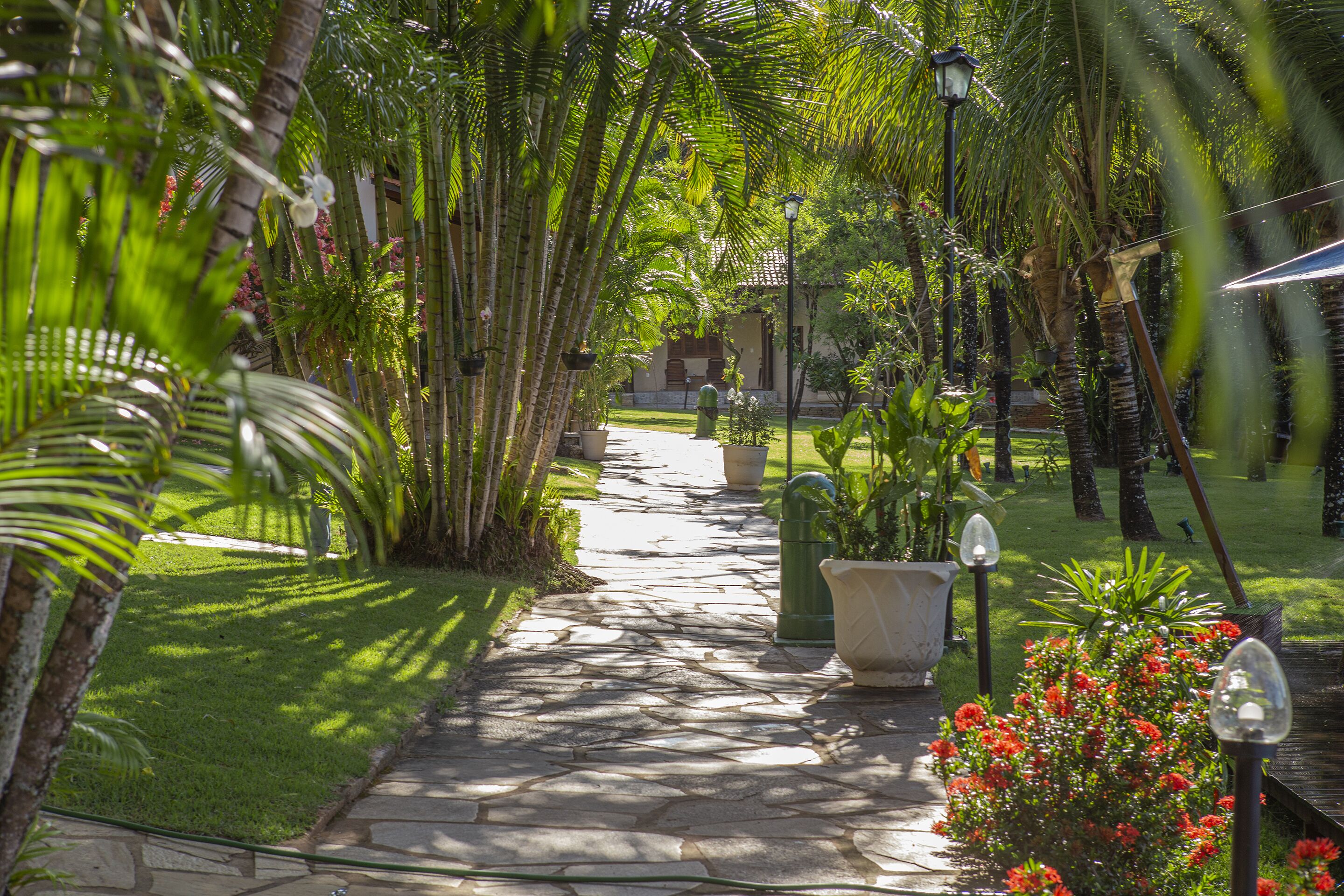 Jardim