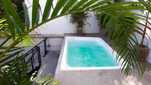 Uma banheira de hidromassagem retangular com água cristalina, rodeada por plantas em vasos e uma parede branca.