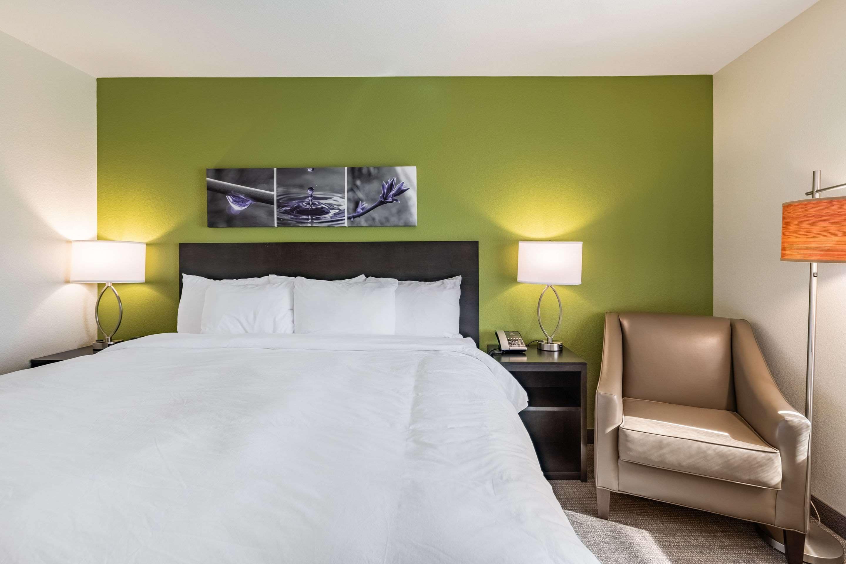 Quarto de hotel com uma cama grande, duas mesas de cabeceira com luminárias, uma cadeira e uma parede verde decorada com obras de arte.