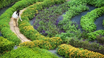 Jardim