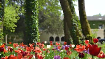Jardim