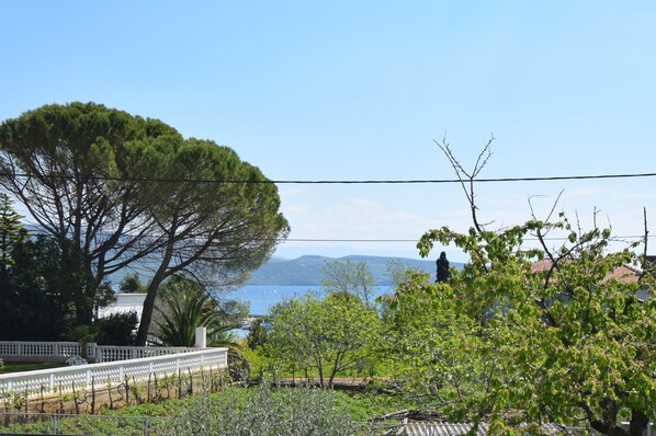 Apartamento standard, 1 quarto | Vista da sacada